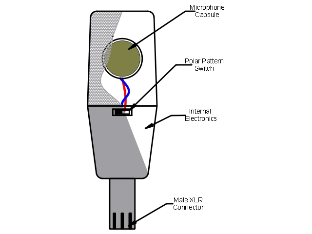 Different Types of Microphone | Terralec User Guide